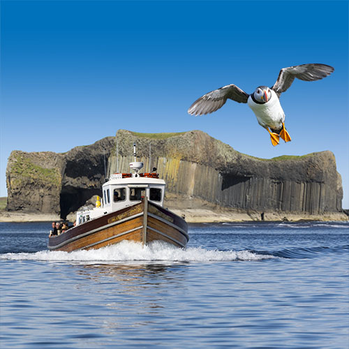 Staffa Boat Trips from Iona and Fionnphort